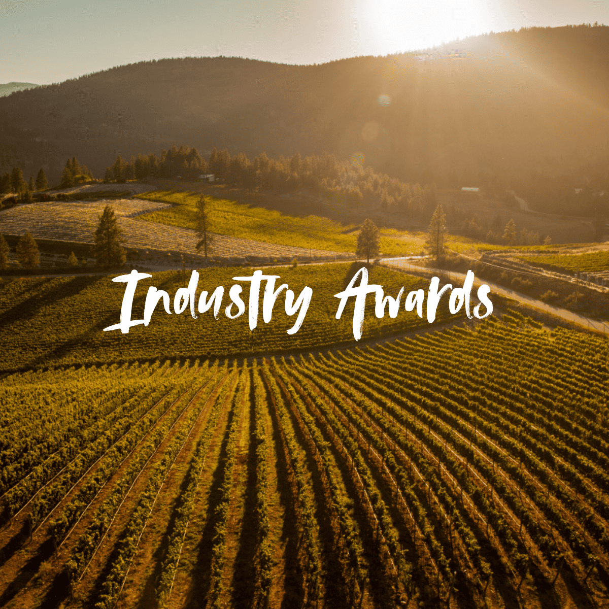 Industry Recognition Awards - Wine BC Industry