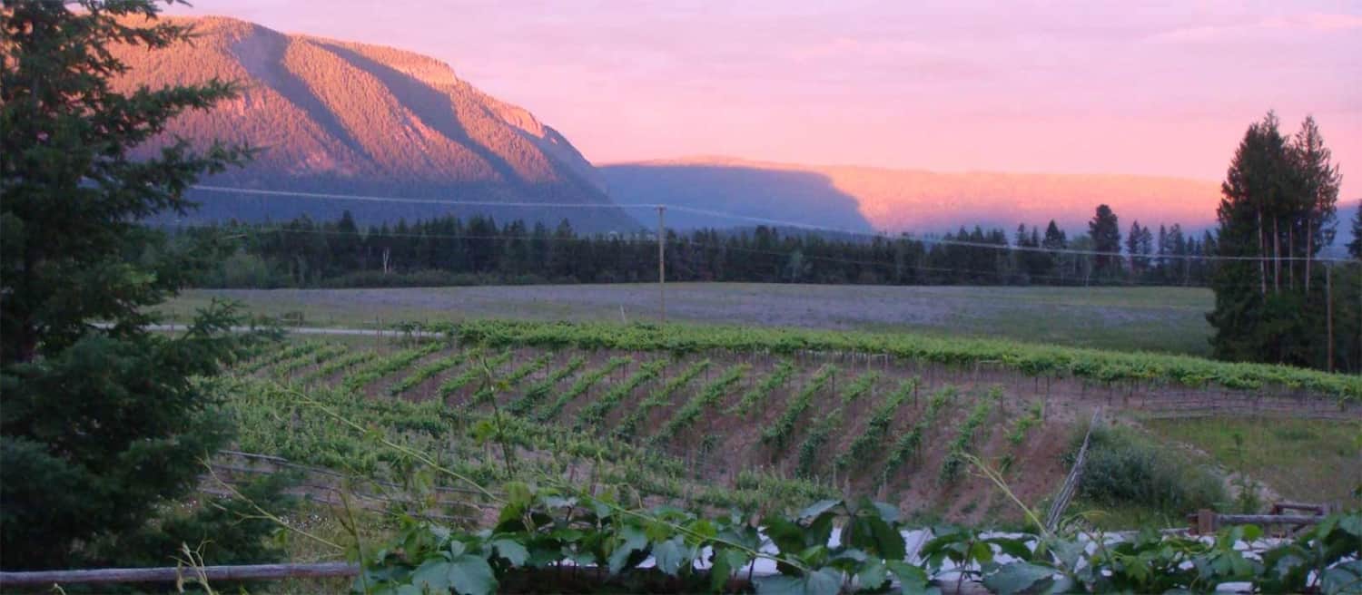 Discover the Wines, Wineries & Vineyards of British Columbia