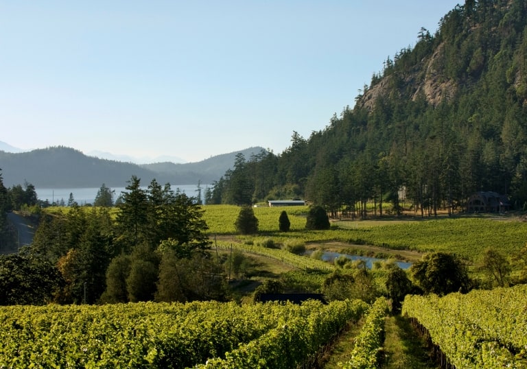 BC Wine Country | British Columbia Wineries & Award-Winning Wines