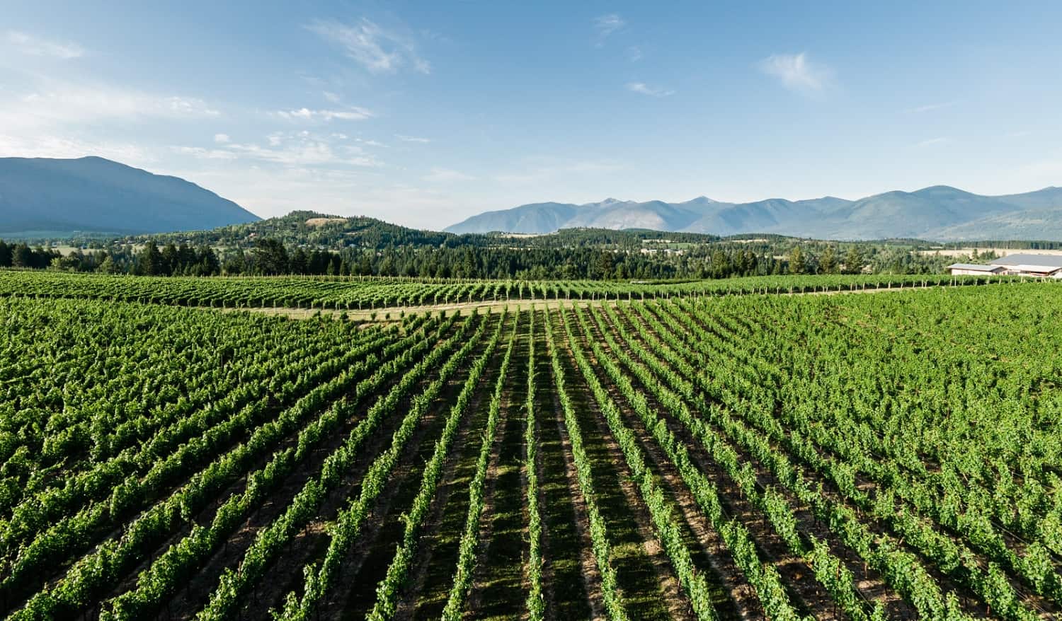 BC Wine Country | British Columbia Wineries & Award-Winning Wines