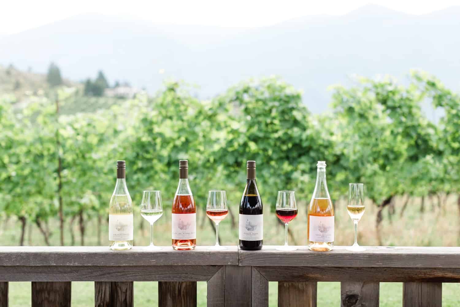 Wine It Forward BC - Wines of British Columbia