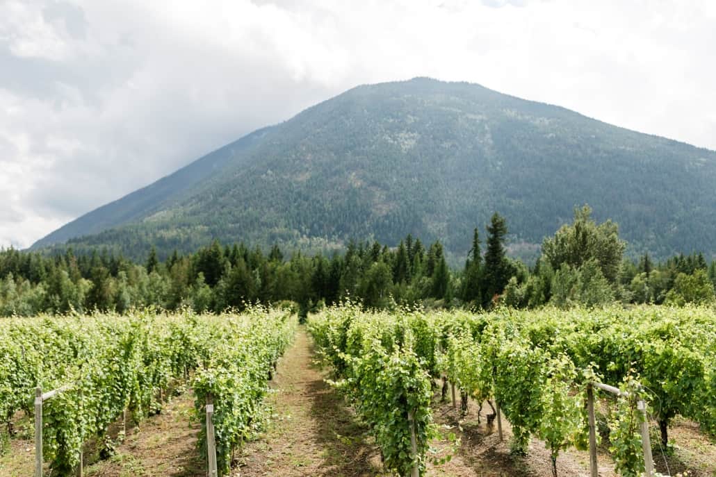 BC Wine Country | British Columbia Wineries & Award-Winning Wines