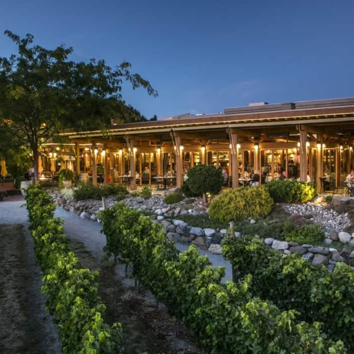 Old Vines Restaurant at Quails' Gate Estate Winery - Wines of British ...