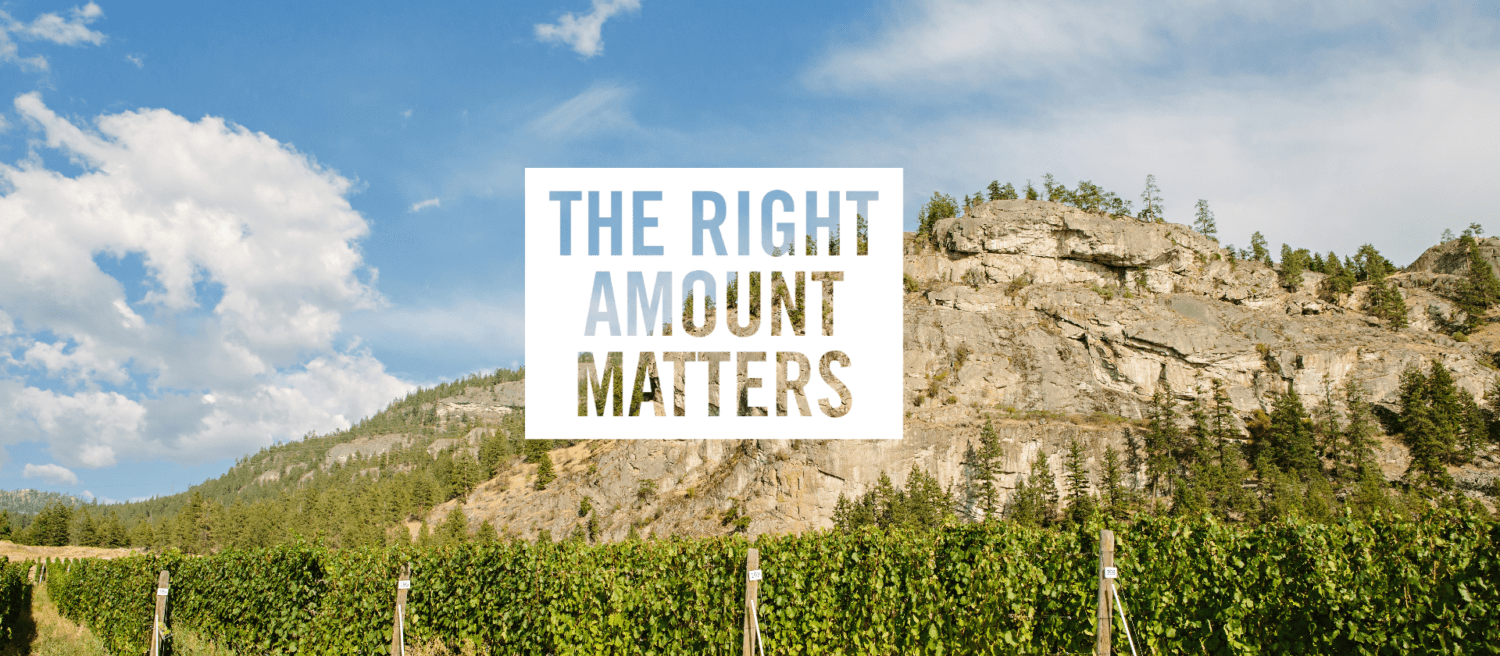 BC Wine Country | British Columbia Wineries & Award-Winning Wines