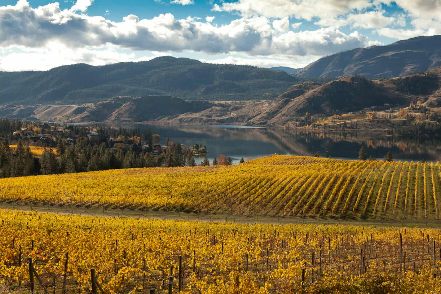 About BC Wines - Wines of British Columbia