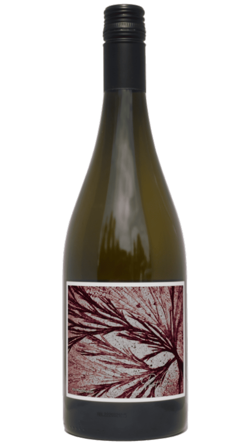 British Columbia Wine | Wine BC