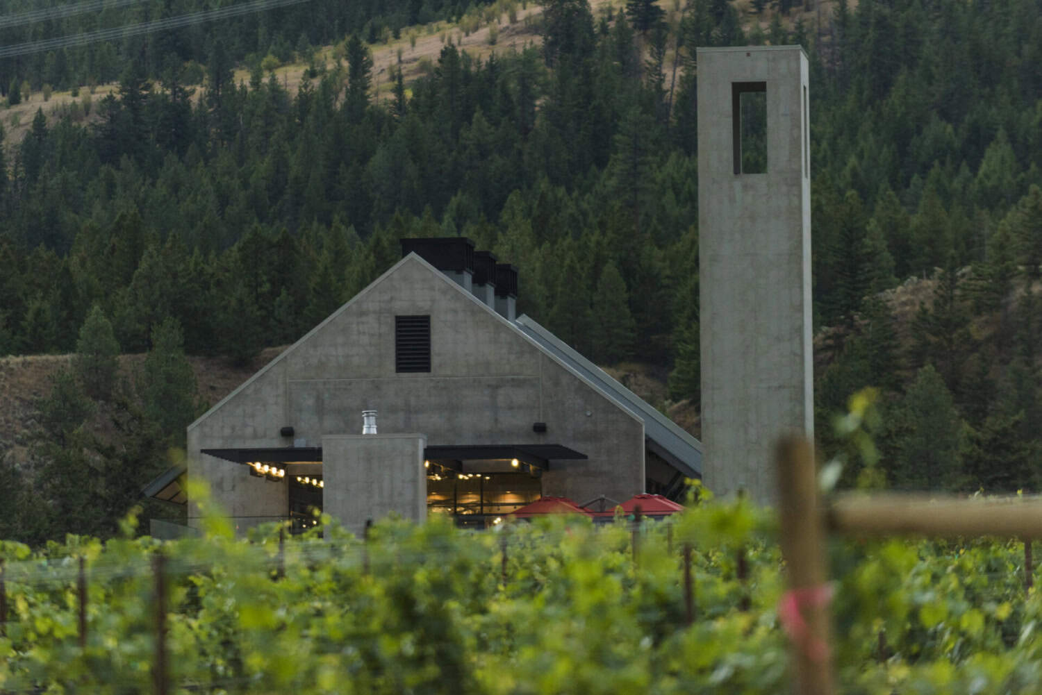BC Wine Country | British Columbia Wineries & Award-Winning Wines