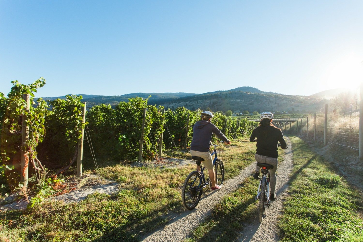 Discover the Wines, Wineries & Vineyards of British Columbia