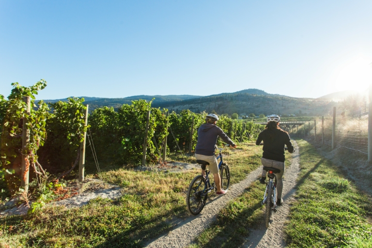 Discover the Wines, Wineries & Vineyards of British Columbia
