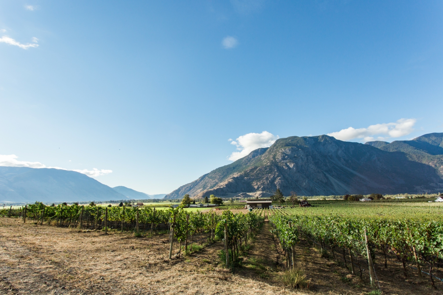 Discover the Wines, Wineries & Vineyards of British Columbia