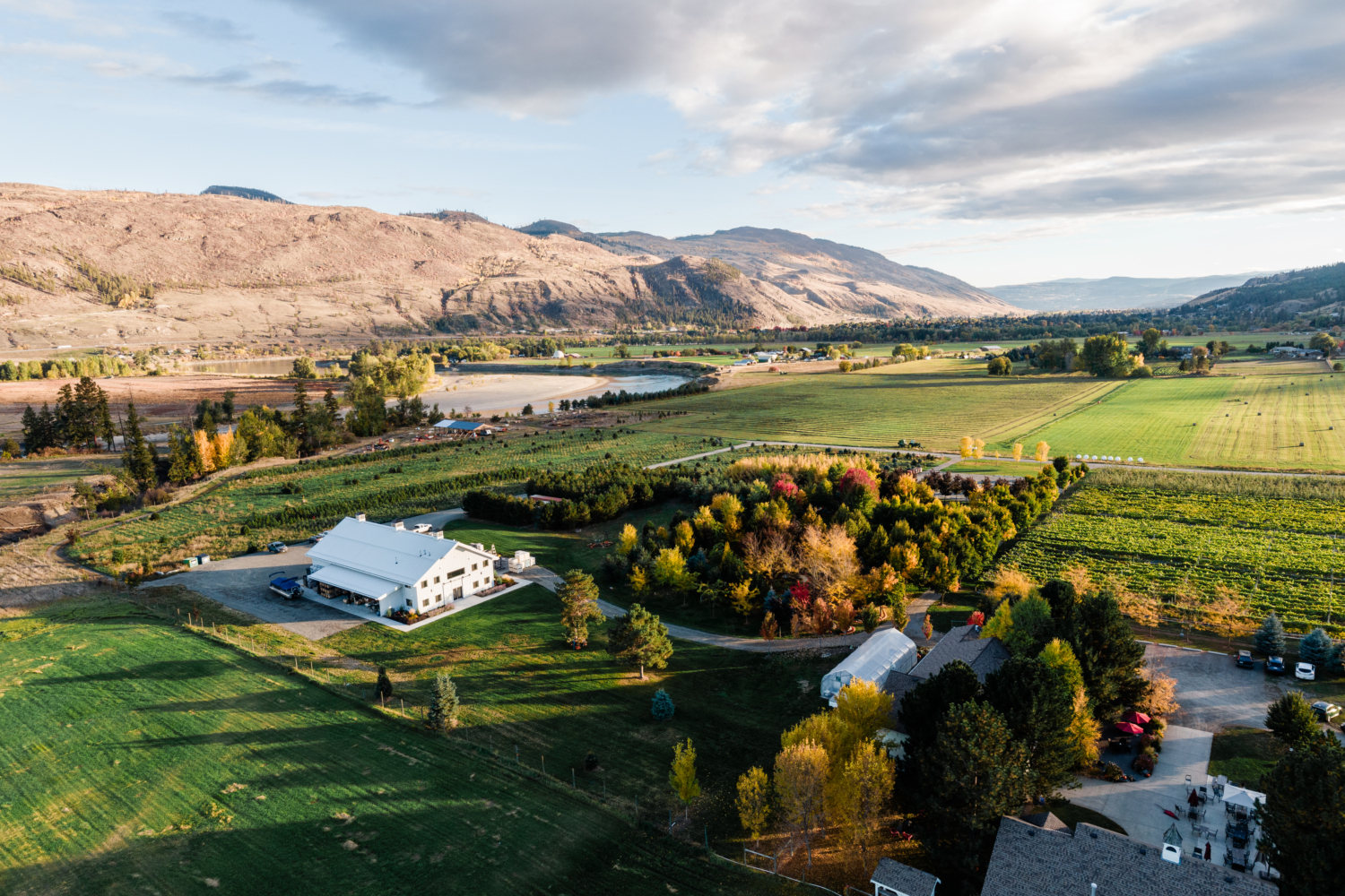 About BC Wines - Wines of British Columbia