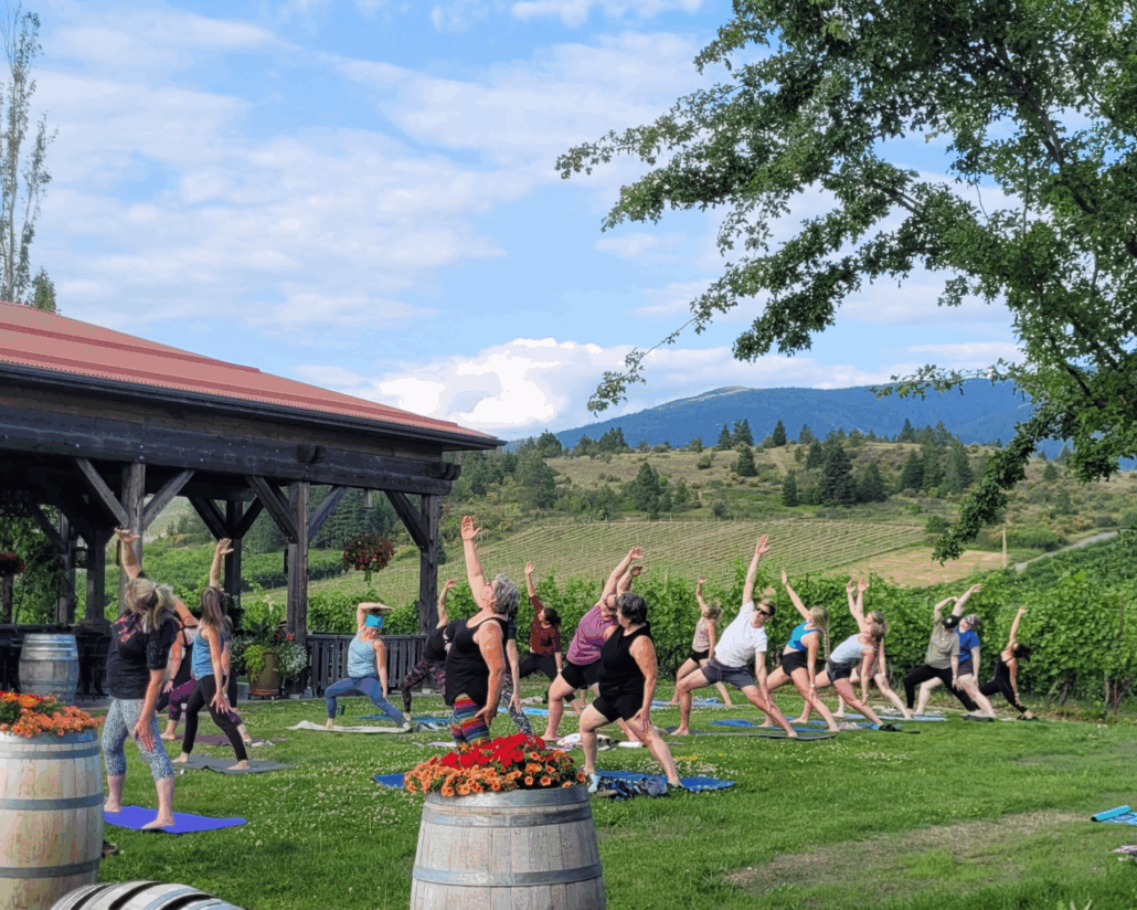 Discover the Wines, Wineries & Vineyards of British Columbia