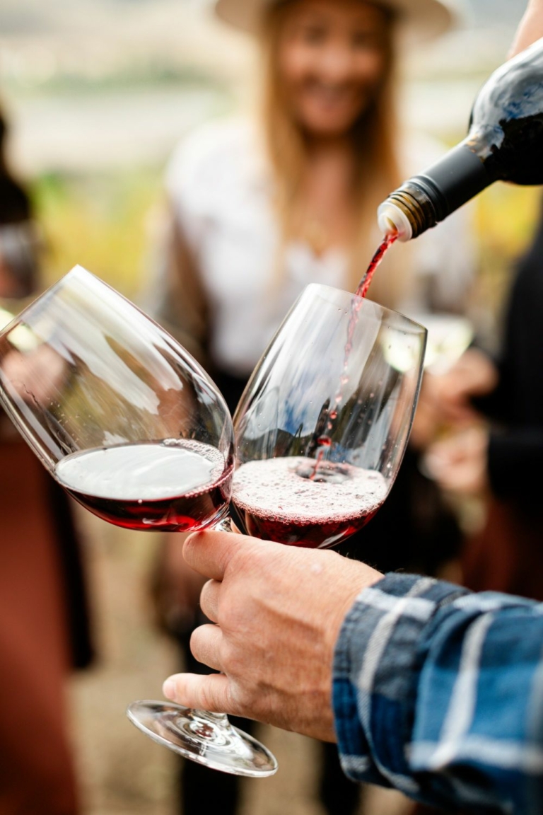 BC’s 2025 Vintage Full of Flavour and The Top 8 Wines You Need to Try ...