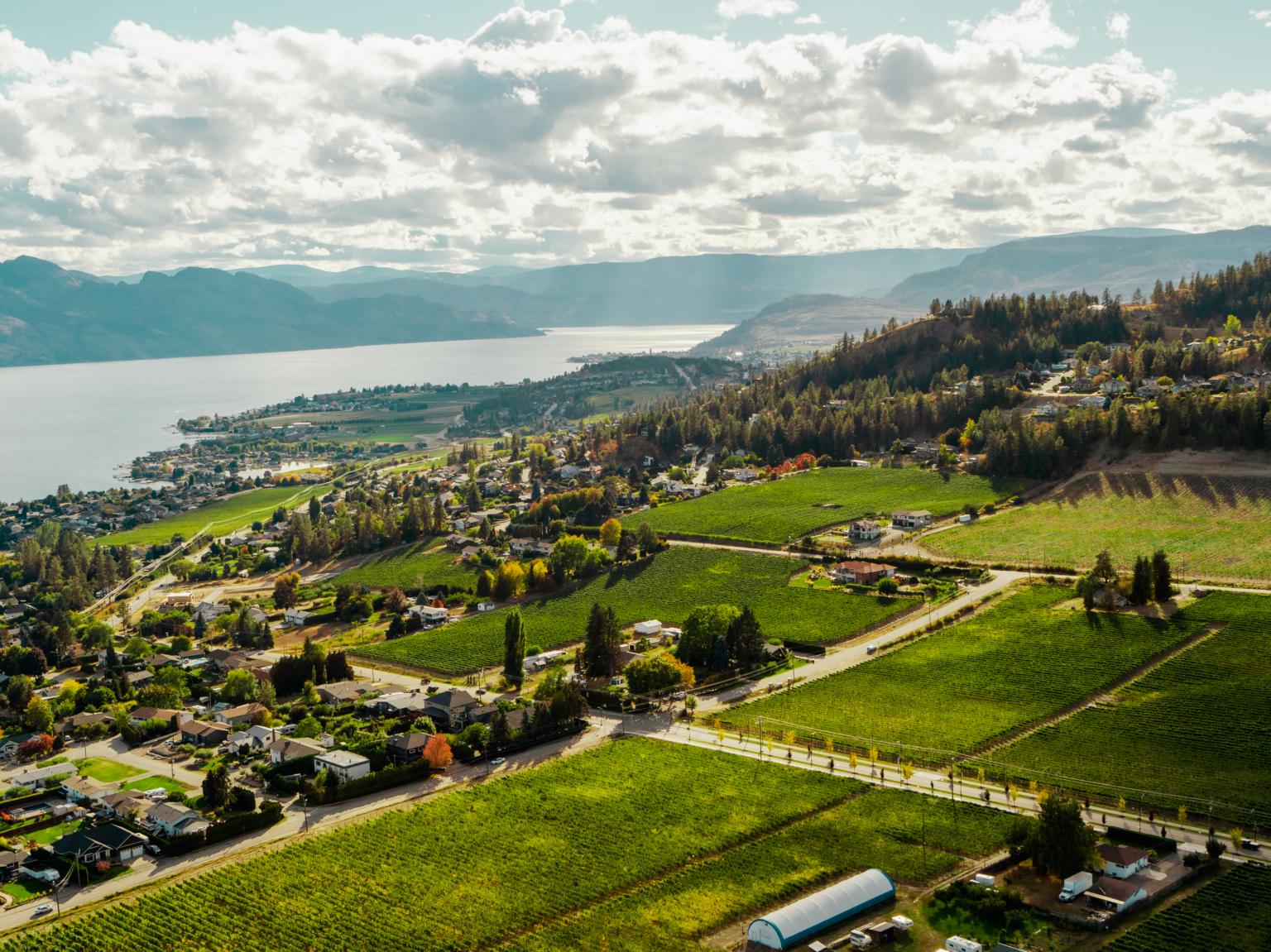 BC Wine Country | British Columbia Wineries & Award-Winning Wines